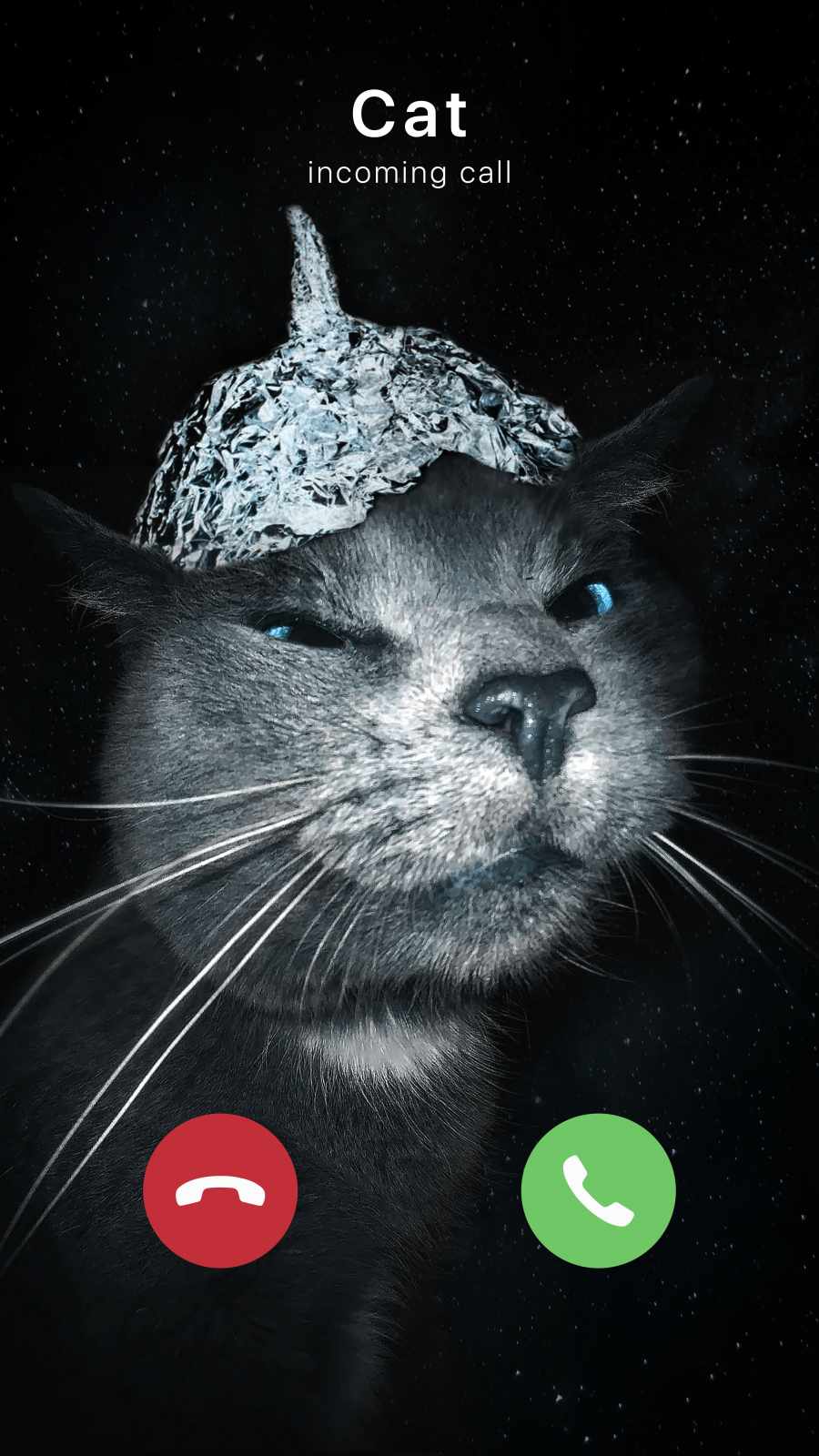 Cat Calling IPhone Wallpapers